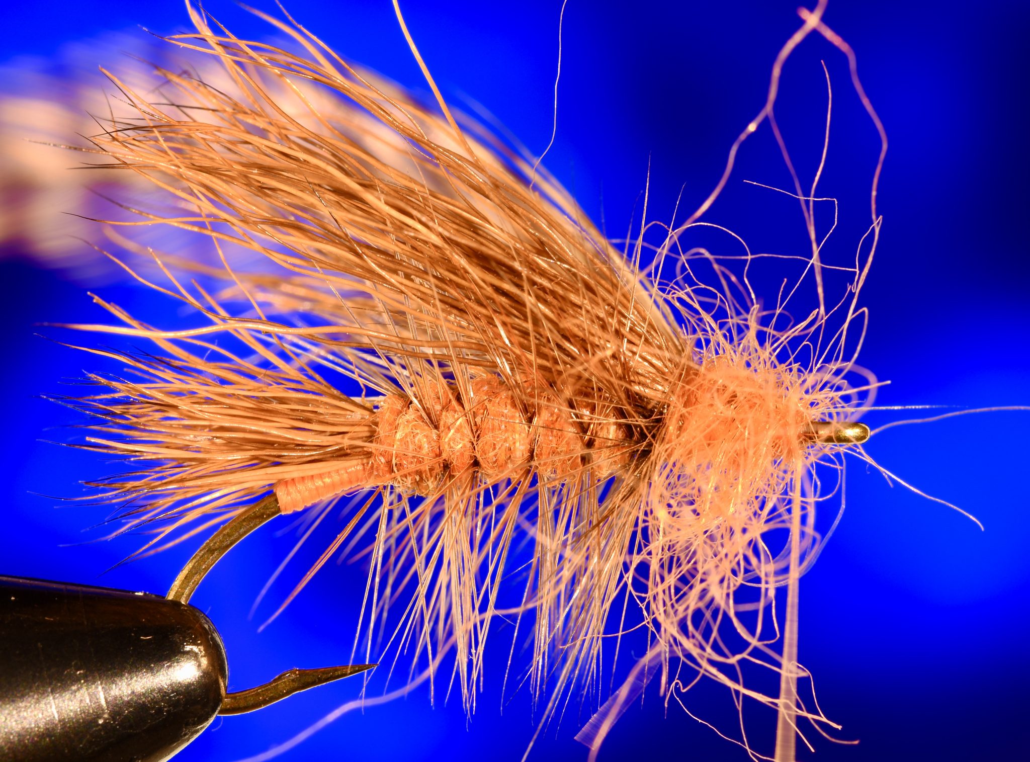 Die „Stimi“ – Der-FliegenBinder