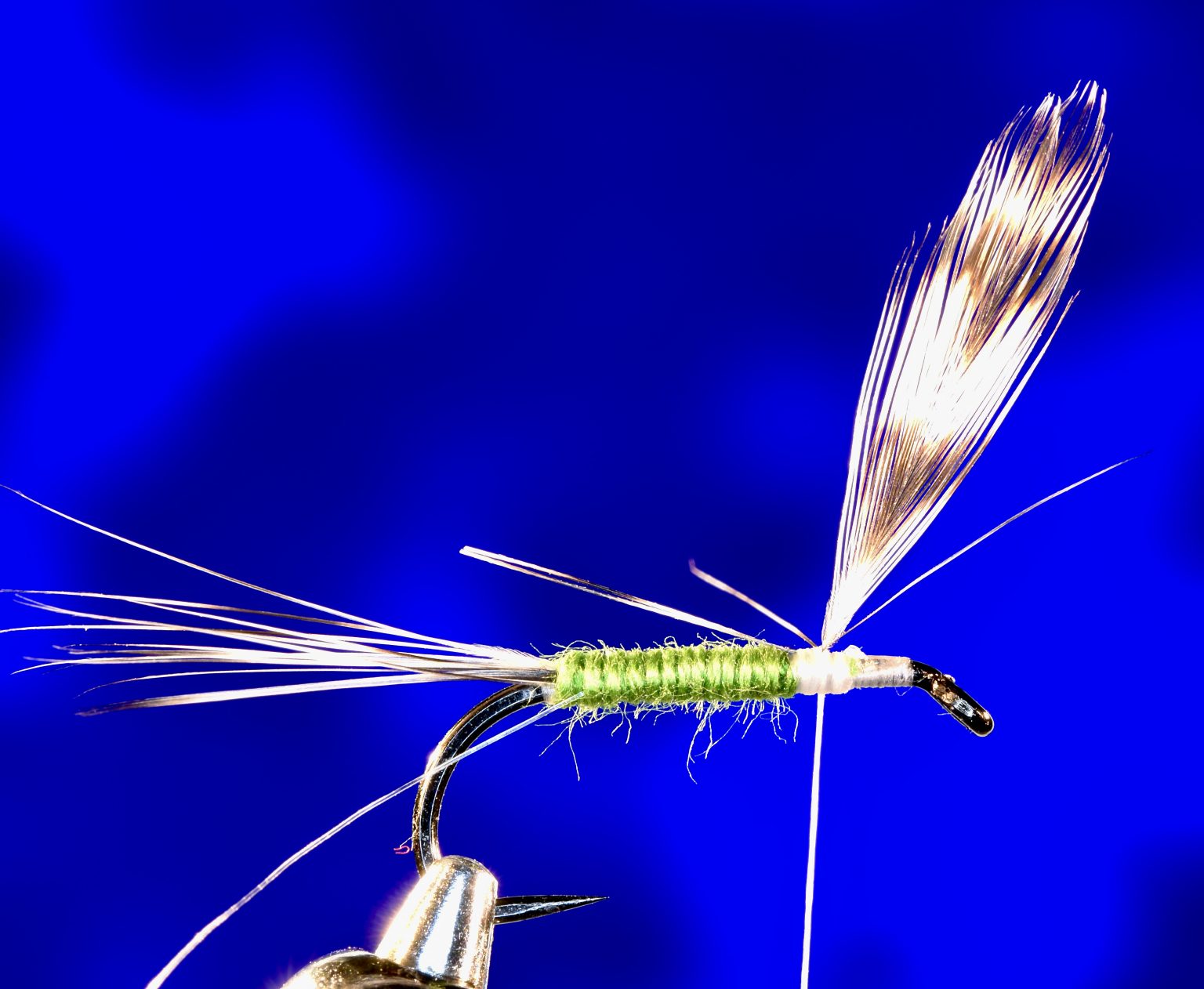 Delaware Adams – Trockenfliege des Monats 4 – Der-FliegenBinder